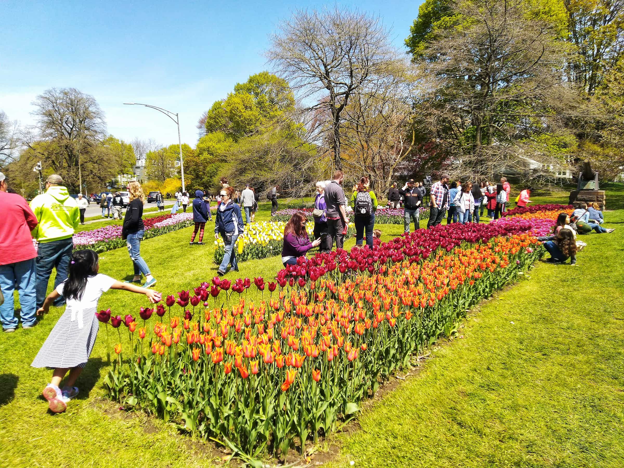 Lilac Festival May 2019 - Rucha Jog - उनाडक्या.कॉम